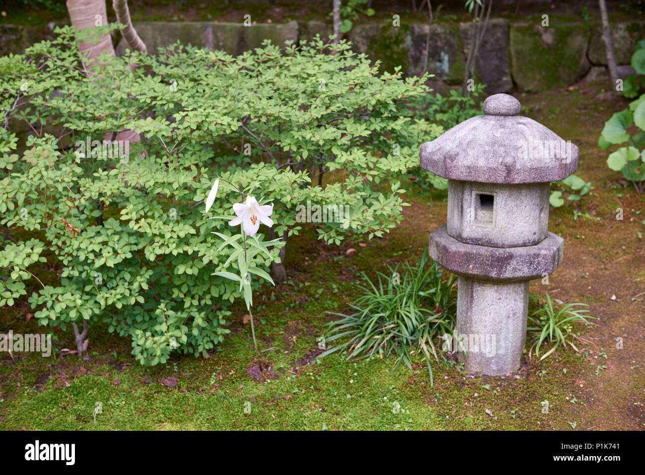 Japanese stone bridge hi-res stock photography and images - Alamy