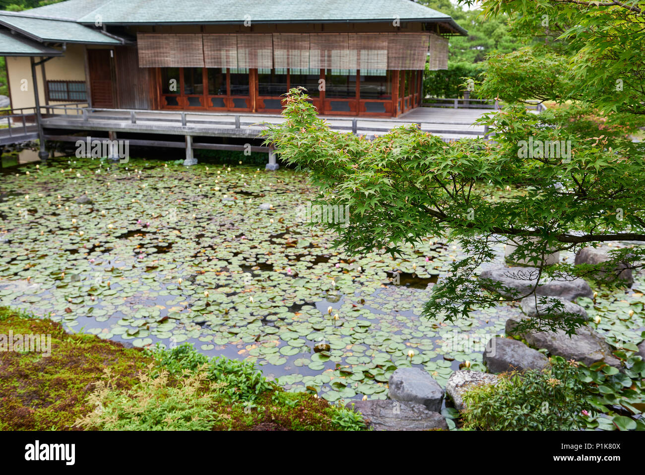 Traditional japanese tea house hi-res stock photography and images - Alamy