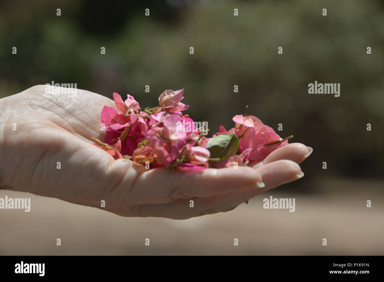 Handful flowers hi-res stock photography and images - Alamy