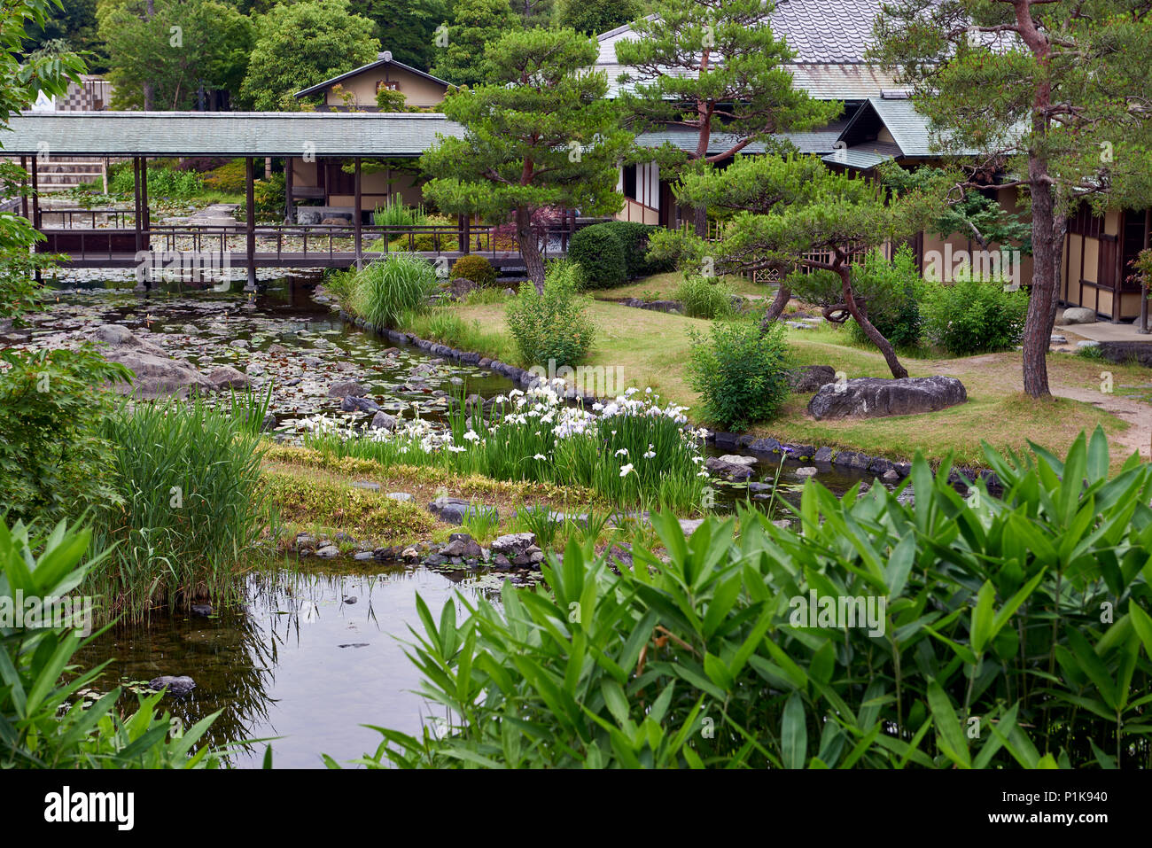 Shirotori traditional Japanese garden in Nagoya Stock Photo - Alamy
