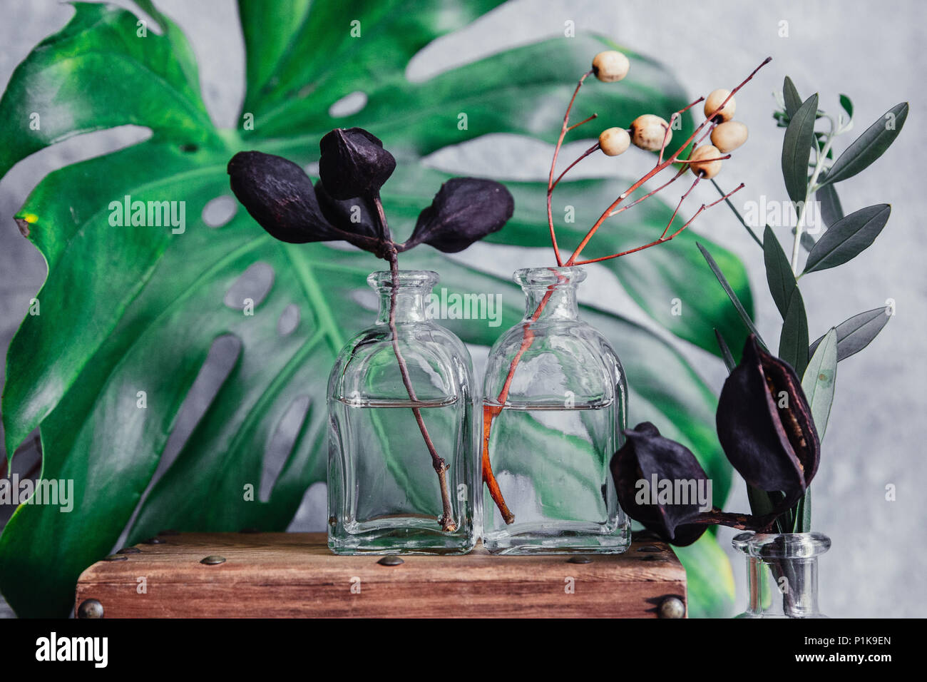 Vases of plants hi-res stock photography and images - Alamy