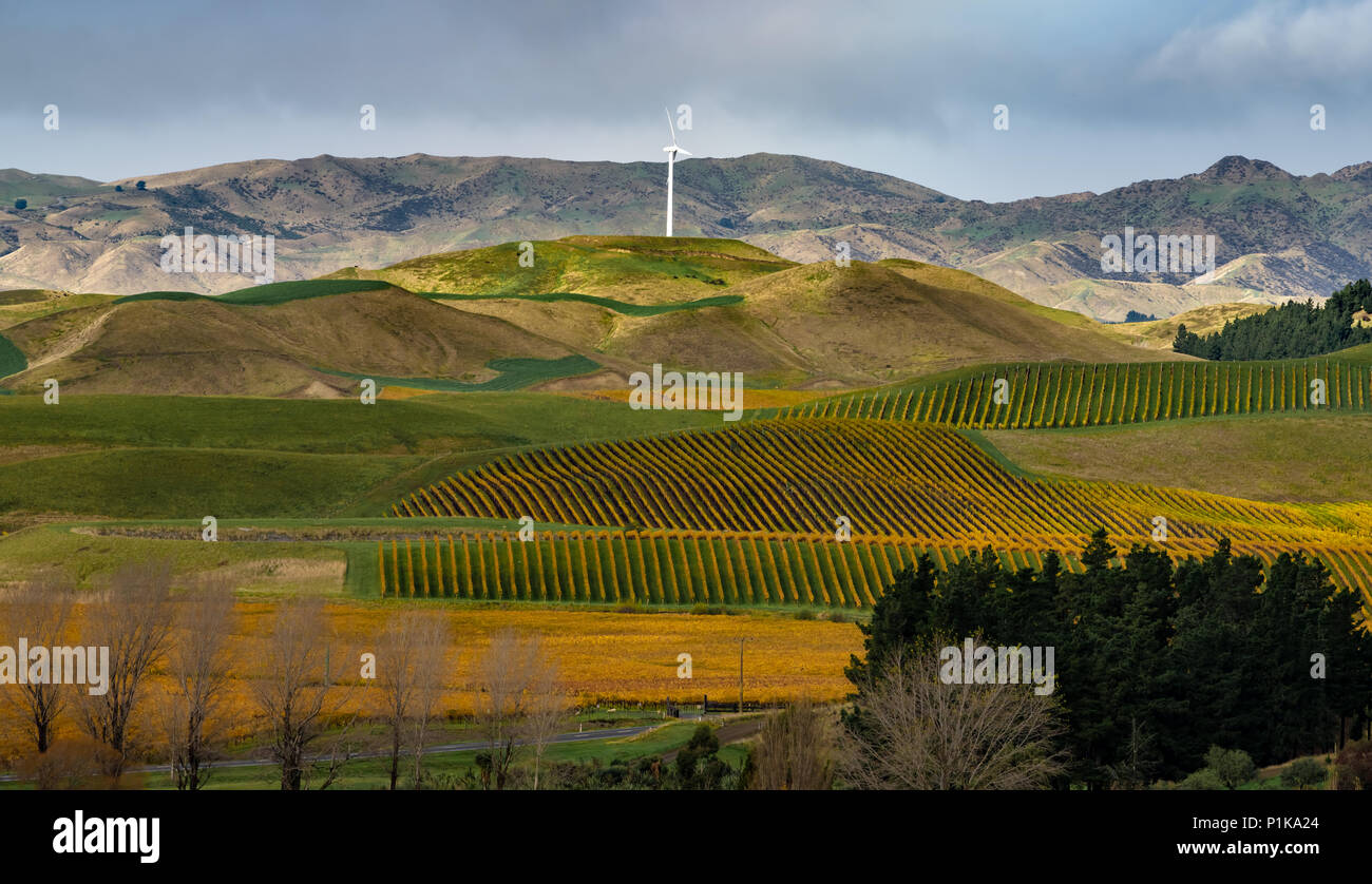 Wind Turbine in rural landscape, Blenheim, South Island, New Zealand ...