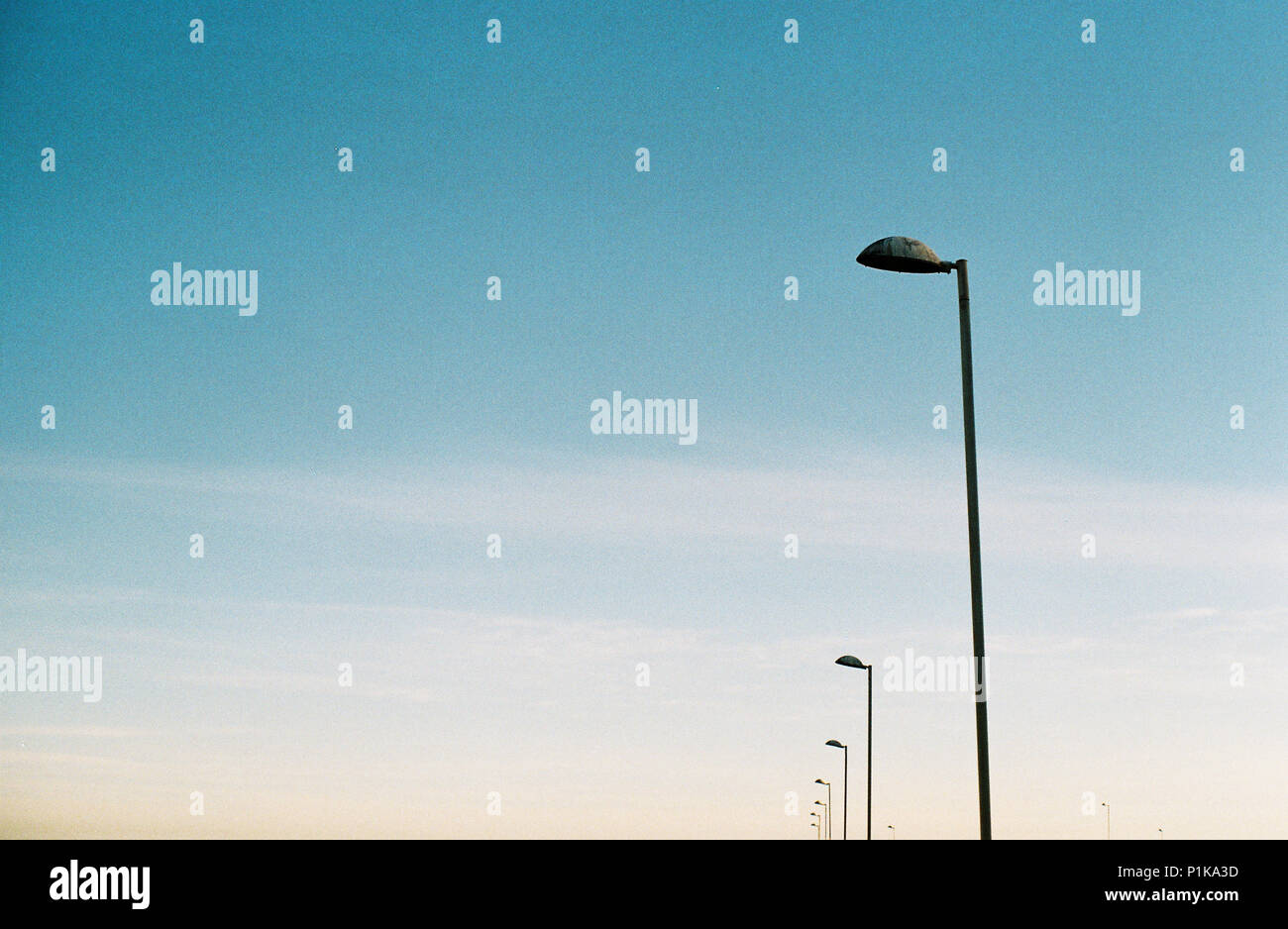Rows of lamp posts, Cape Town, Western Cape, South Africa Stock Photo ...