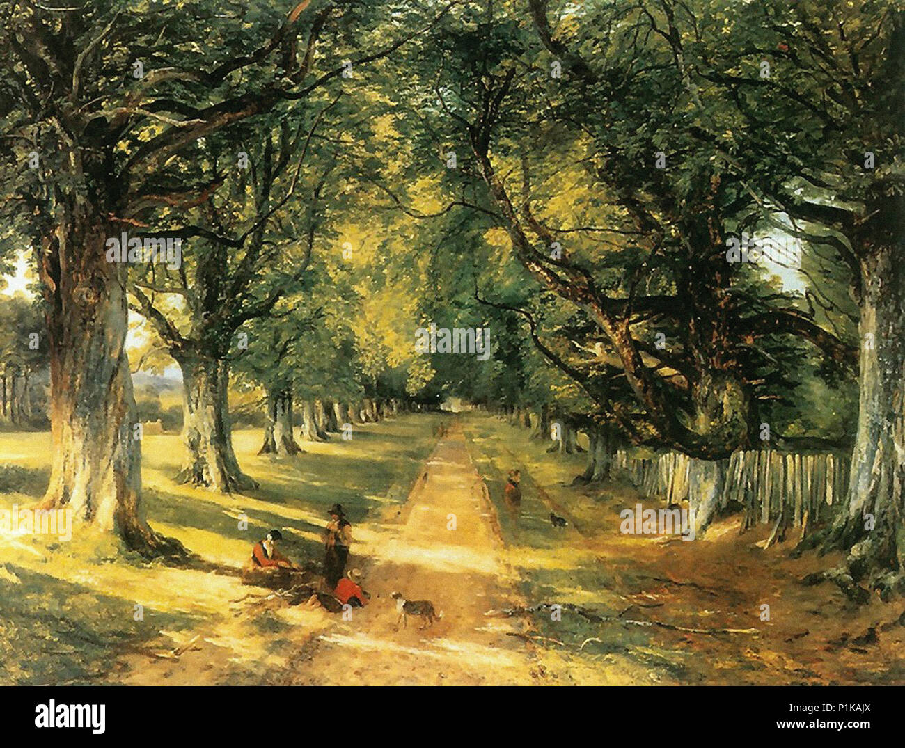 Shobrooke hi-res stock photography and images - Alamy