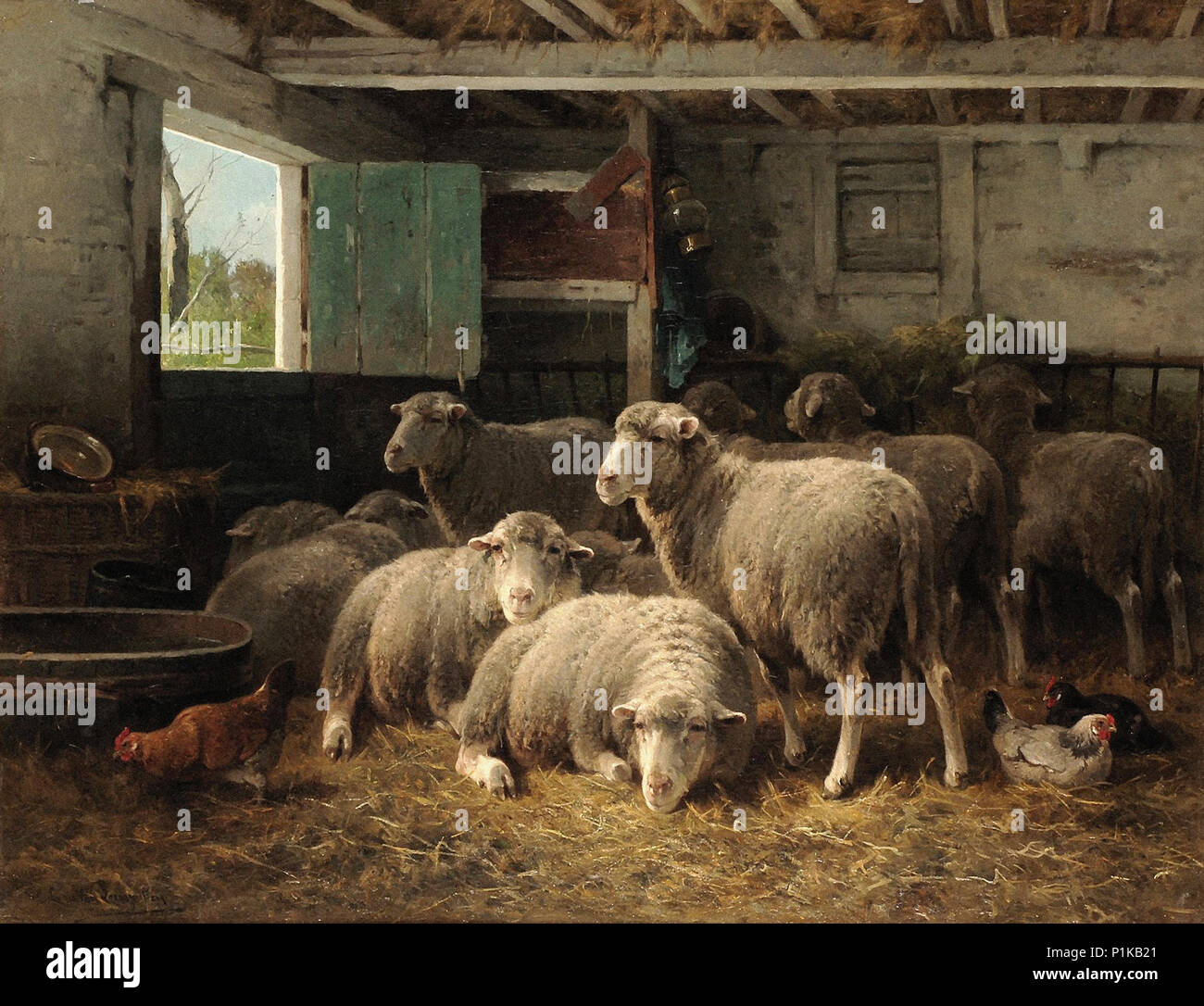 Sheep in a stable hi-res stock photography and images - Alamy