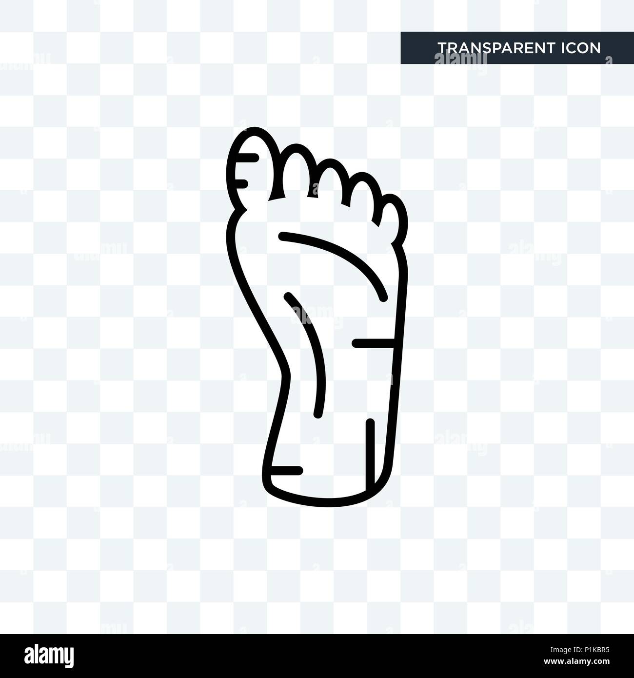 Human Foot vector icon isolated on transparent background, Human Foot ...