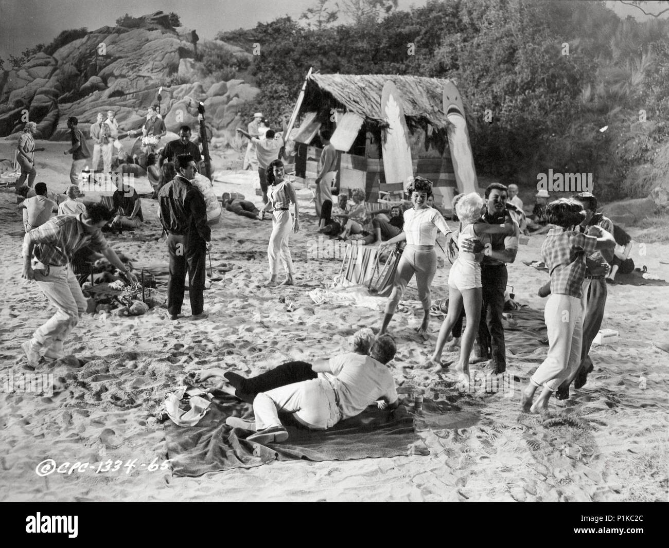 Original Film Title: GIDGET. English Title: GIDGET. Film Director: PAUL ...