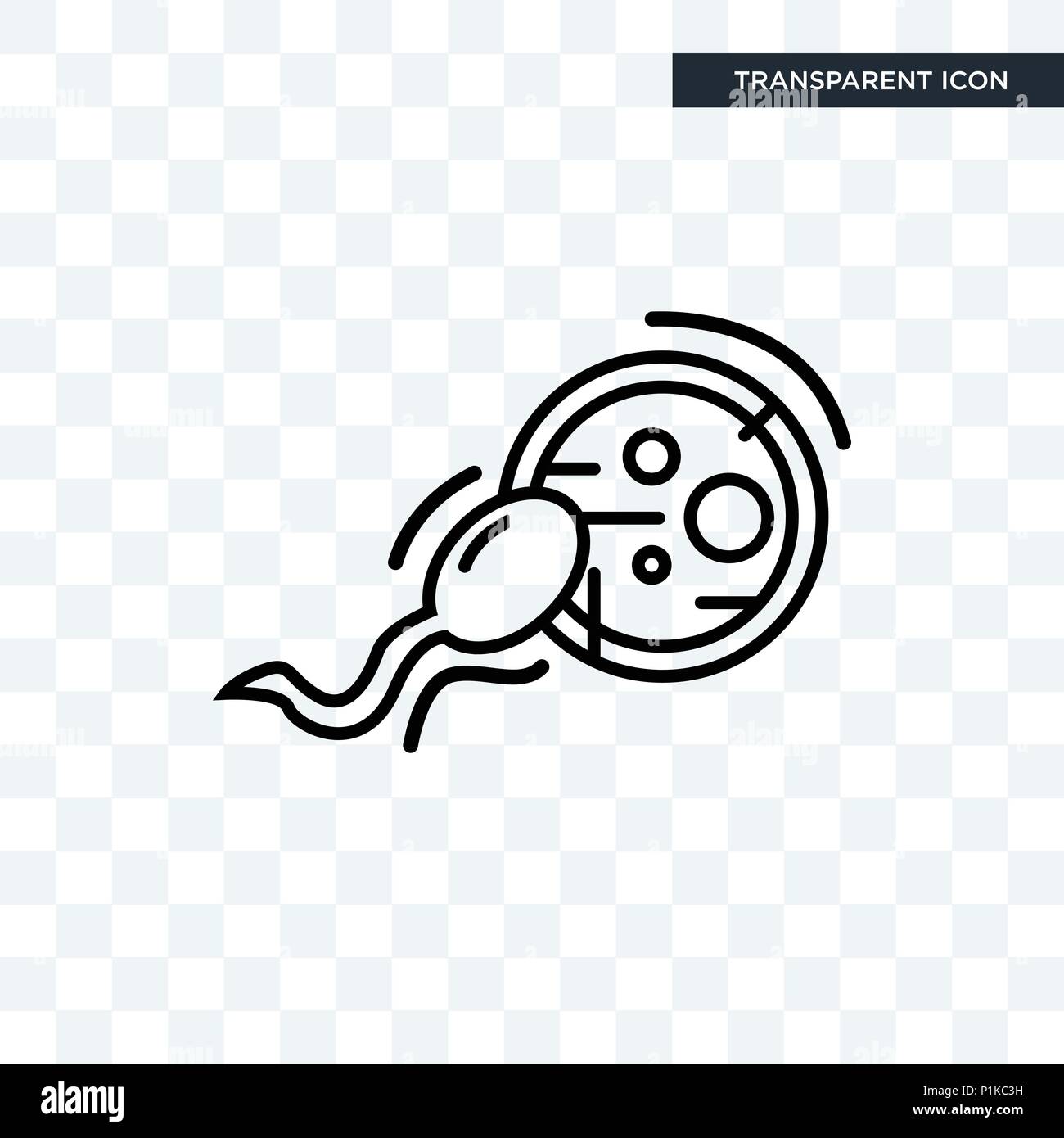Fertilization vector icon isolated on transparent background ...