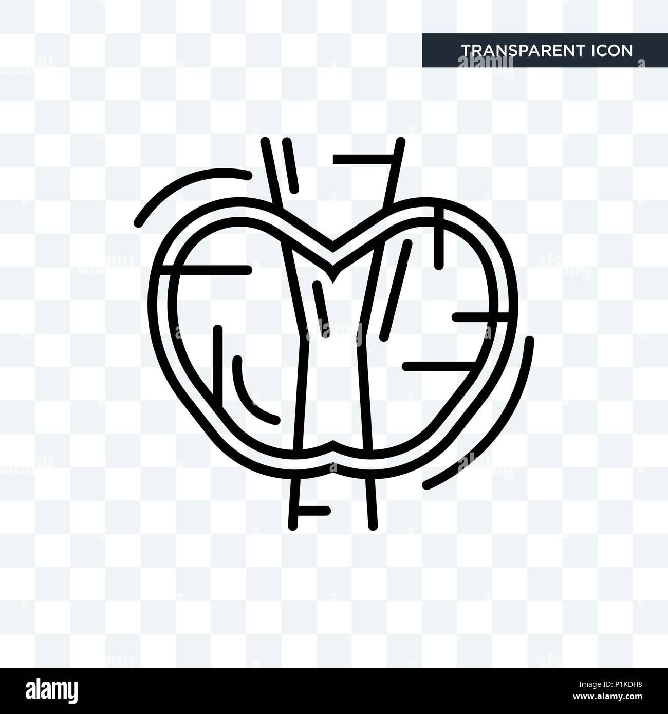 Thyroid vector icon isolated on transparent background, Thyroid logo ...