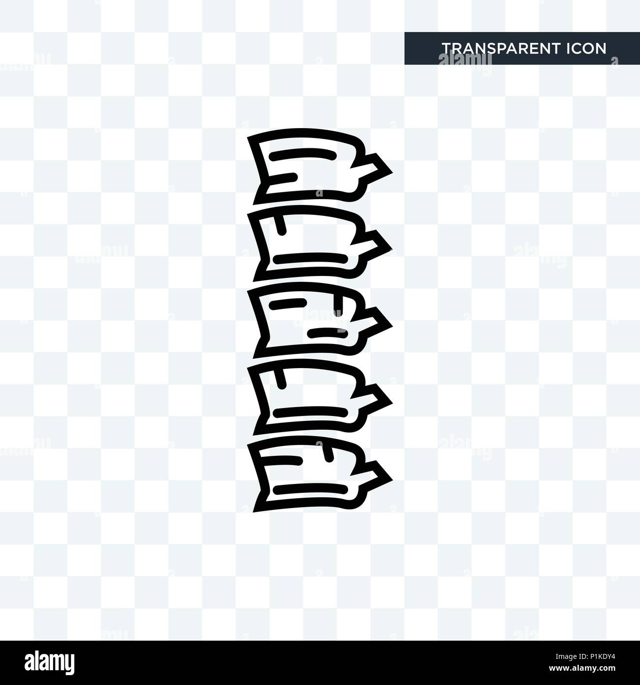 Spine Bone vector icon isolated on transparent background, Spine Bone ...