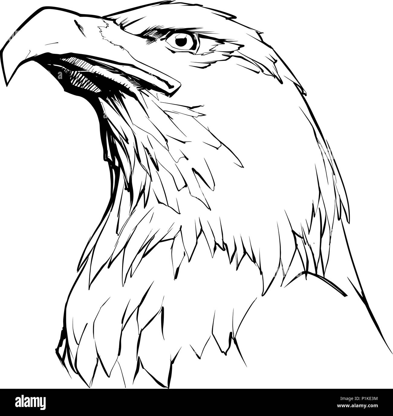 Patriotic Eagle Coloring Pages Patriotic Bald Eagle 5 Embroidery