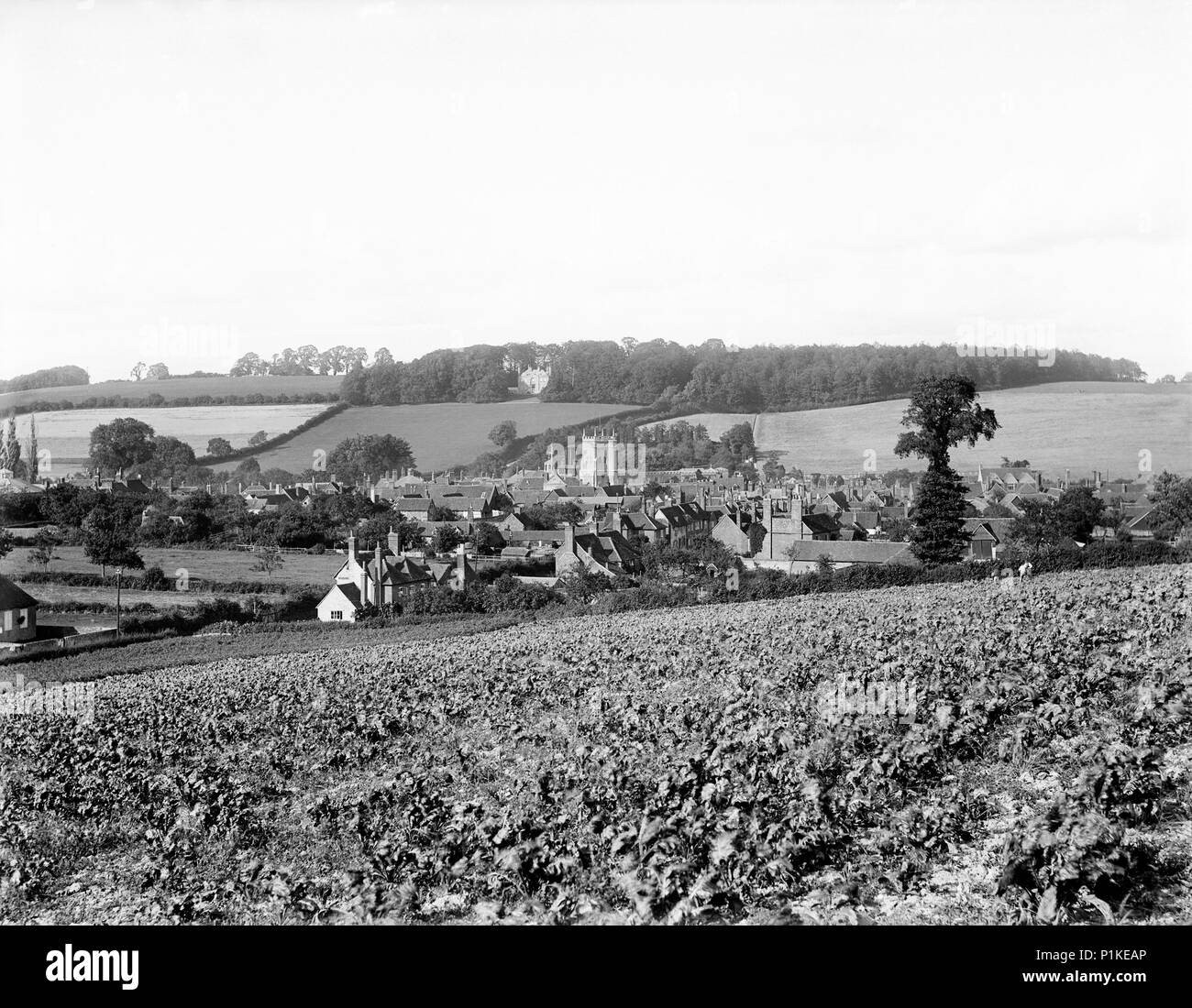 Taunt Black and White Stock Photos & Images - Alamy
