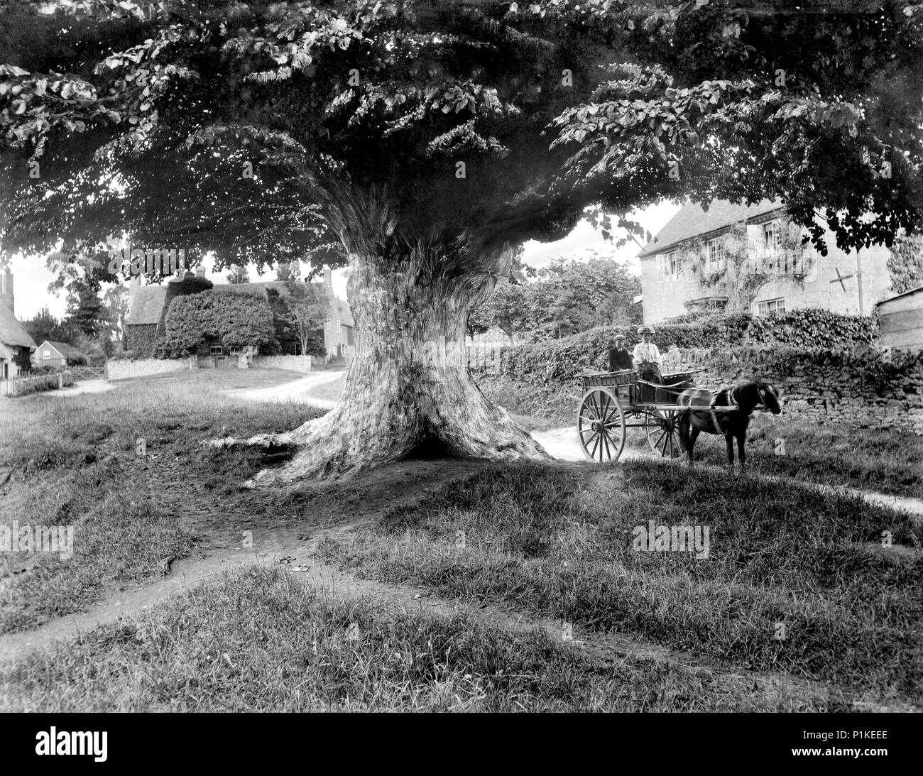 Henry w taunt hi-res stock photography and images - Alamy