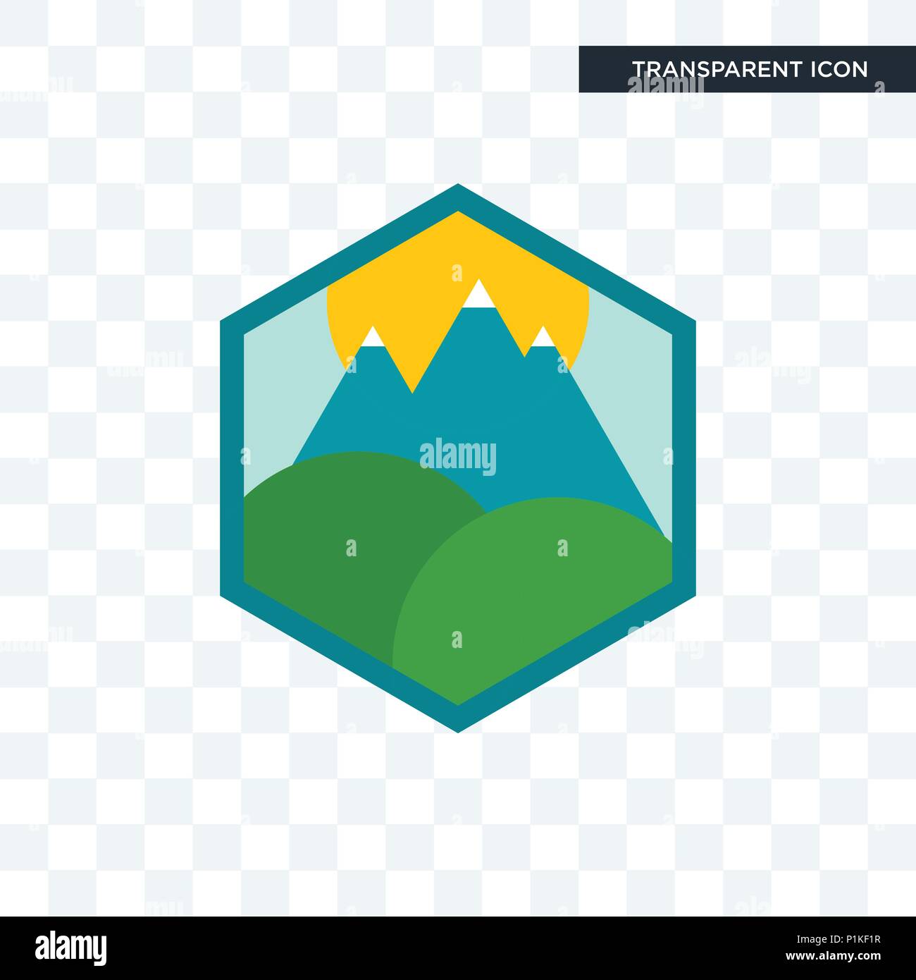 pic vector icon isolated on transparent background, pic logo concept ...