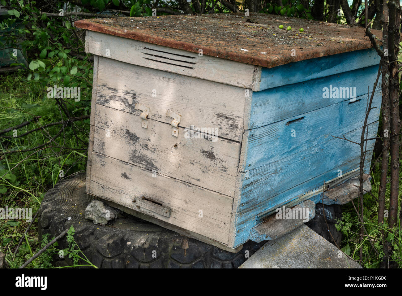 Beehives on the old wheel, Shagans Lagoon, Ukraine Stock Photo - Alamy