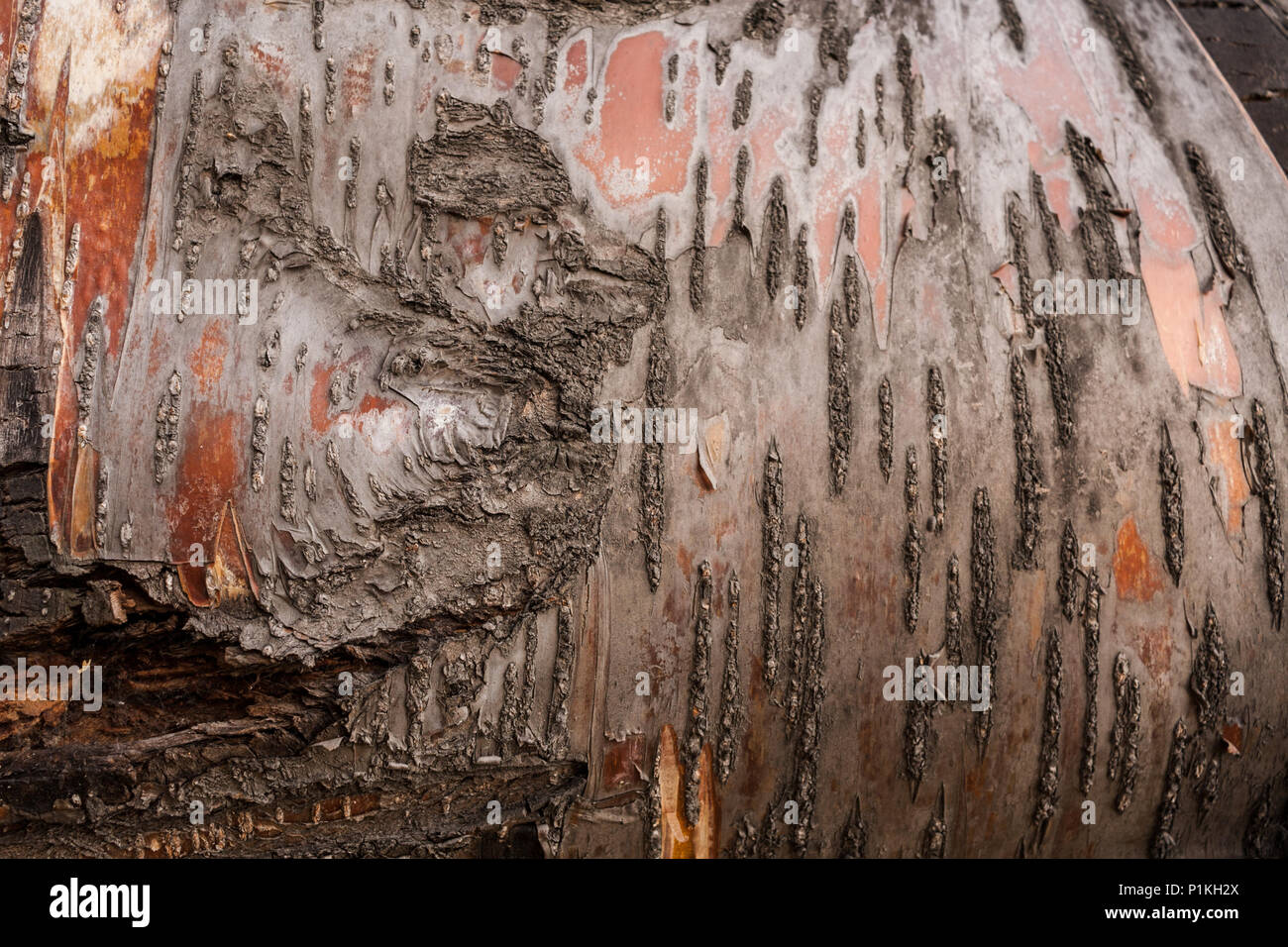 Nonuniform hi-res stock photography and images - Alamy