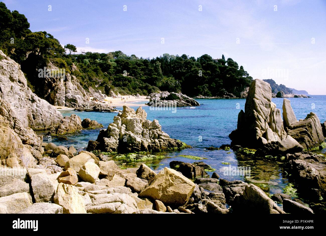 Lloret de Mar; playa / platja Cala de Boadella Stock Photo - Alamy