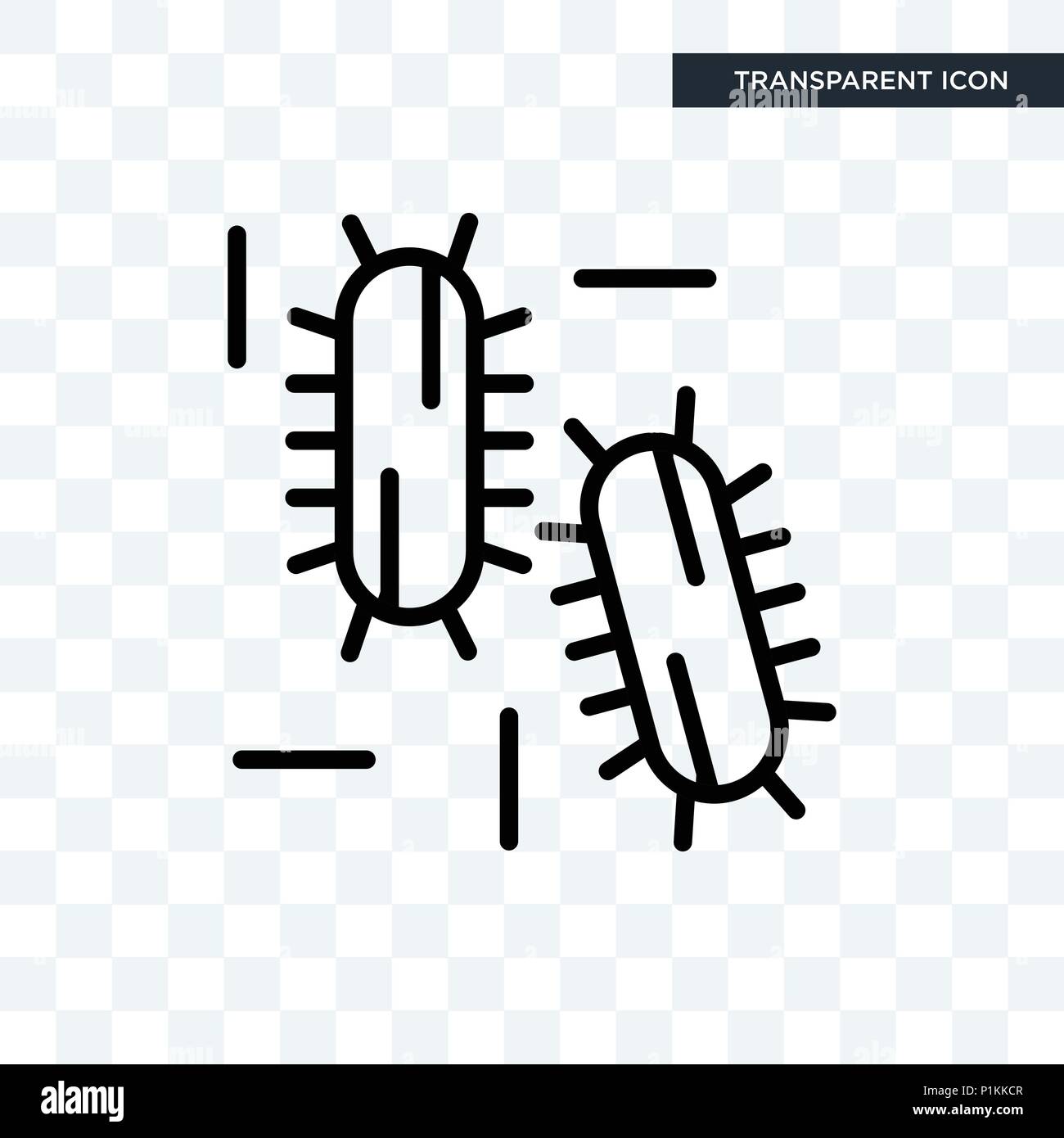 Three Bacteria vector icon isolated on transparent background, Three ...