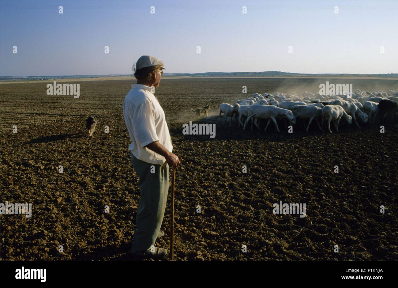 Barrax hi-res stock photography and images - Alamy