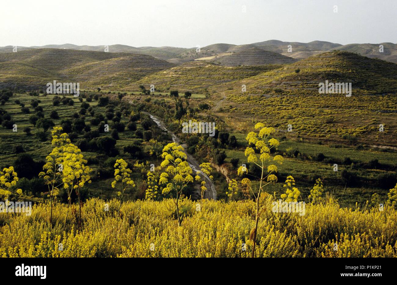 Lumbreras hi-res stock photography and images - Alamy