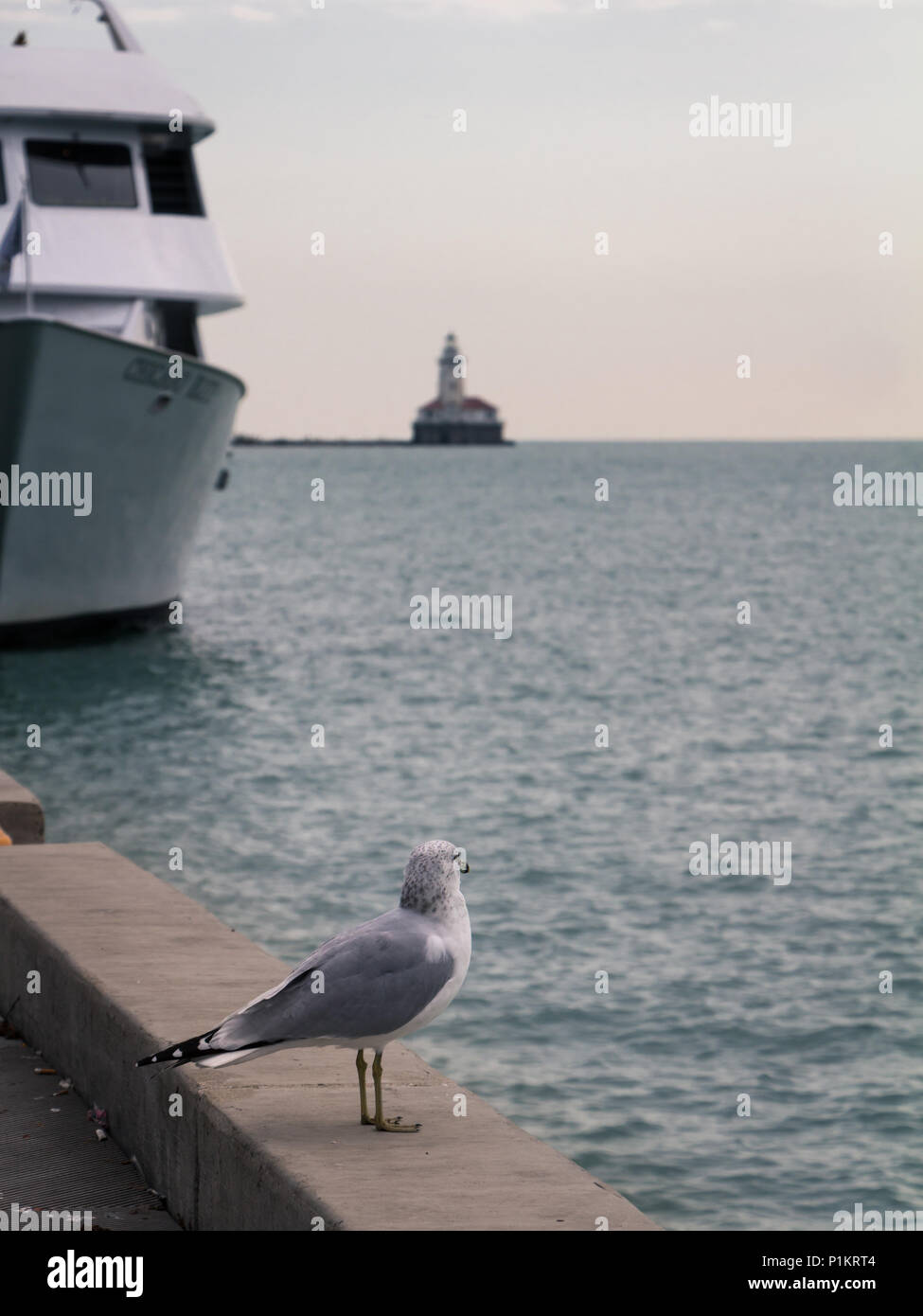 Lighthouse chicago hi-res stock photography and images - Alamy