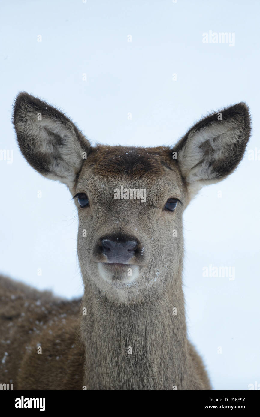 Notzeit High Resolution Stock Photography and Images - Alamy