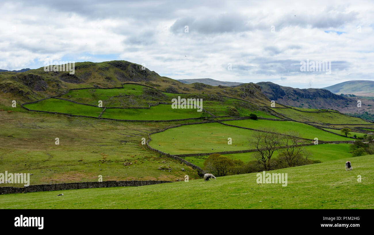 Enclosures England High Resolution Stock Photography and Images - Alamy