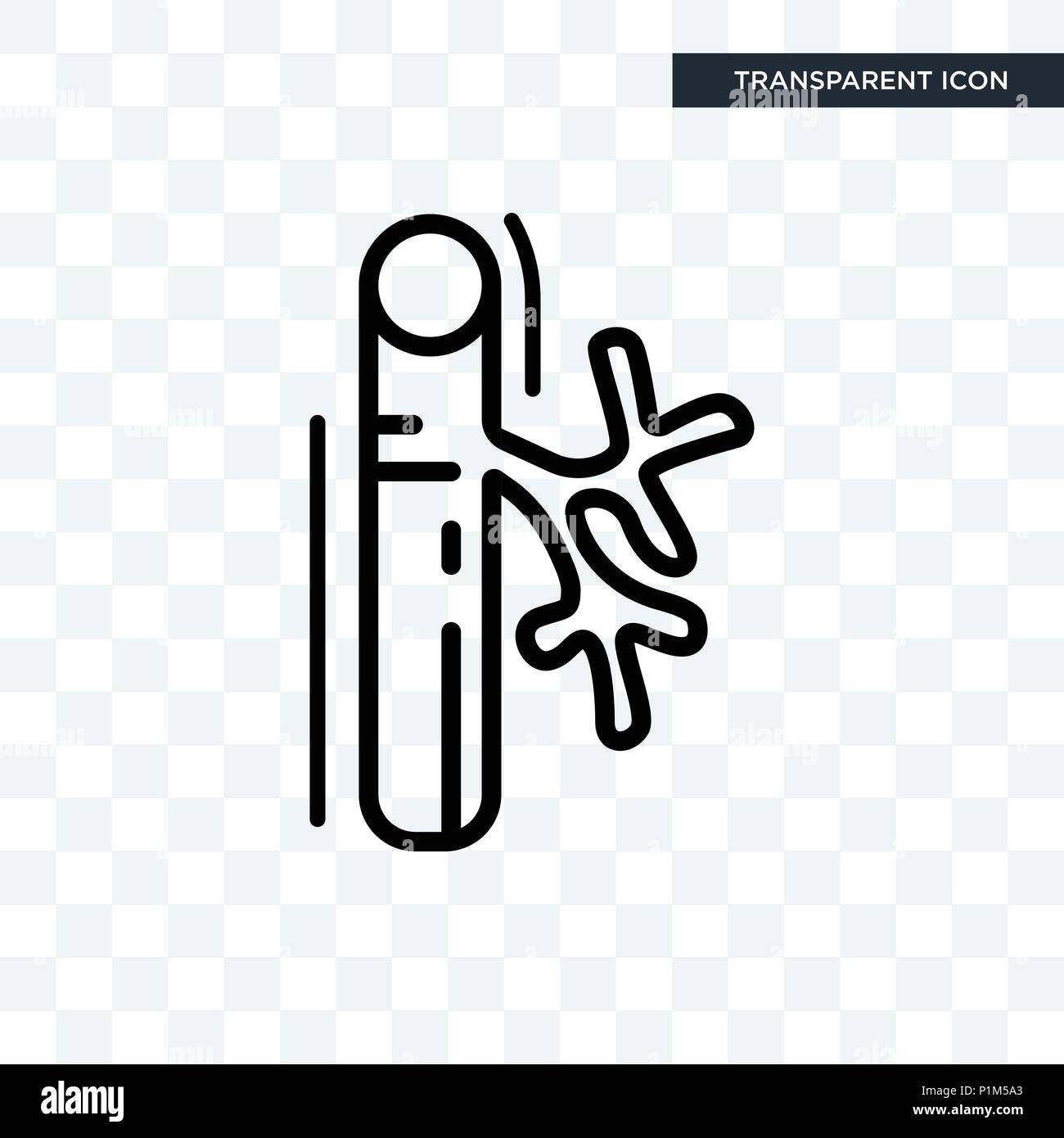 Blood Vessel vector icon isolated on transparent background, Blood Vessel logo concept Stock ...
