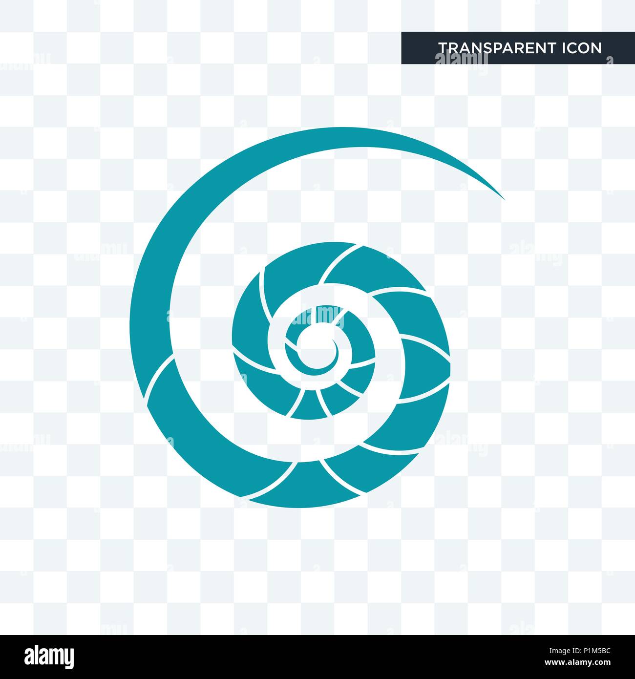 nautilus shell vector icon isolated on transparent background, nautilus ...