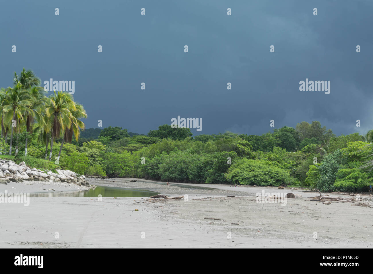 Sand, palms and stormy sky-river mouth at Playa Samara Beach, with lush ...