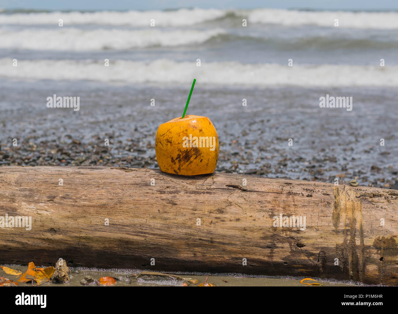 Coconut drinking straw on rocks hi-res stock photography and images - Alamy