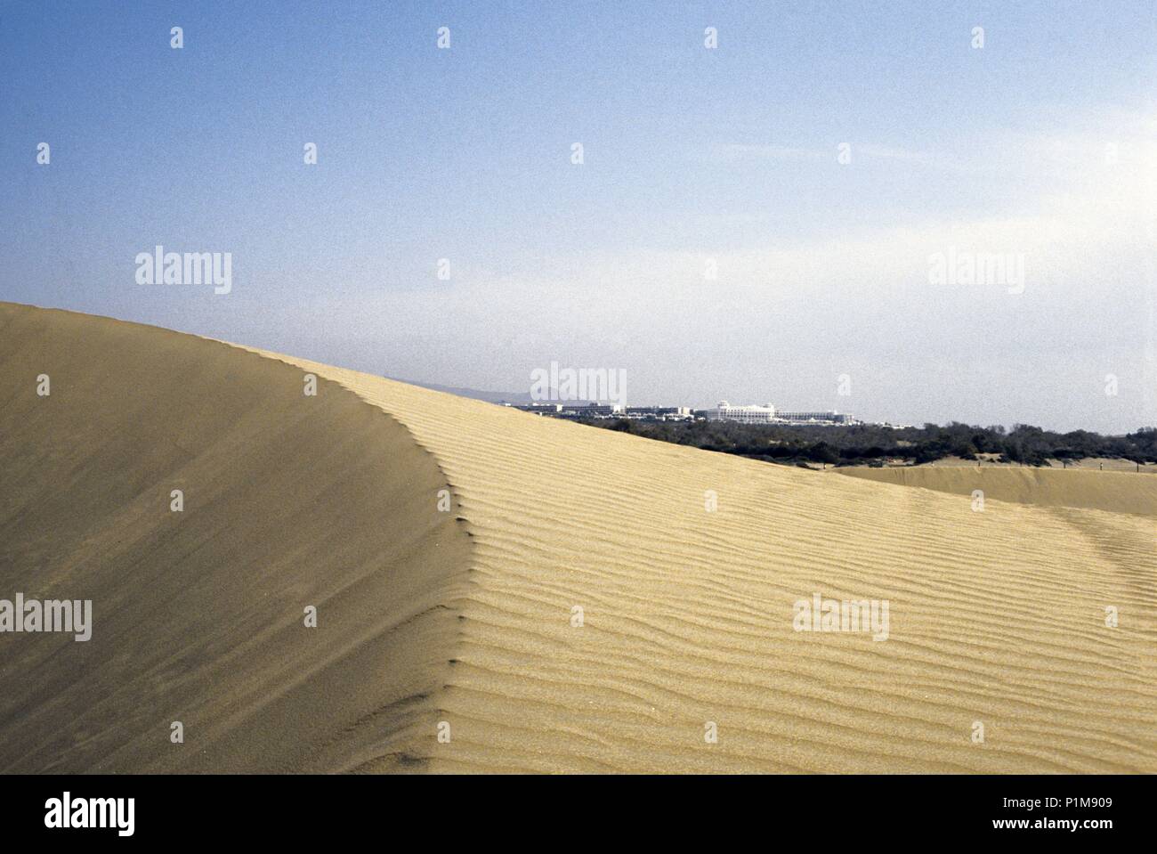 Playa de / Maspalomas beach, sand dunes (south Great Canary Island ...