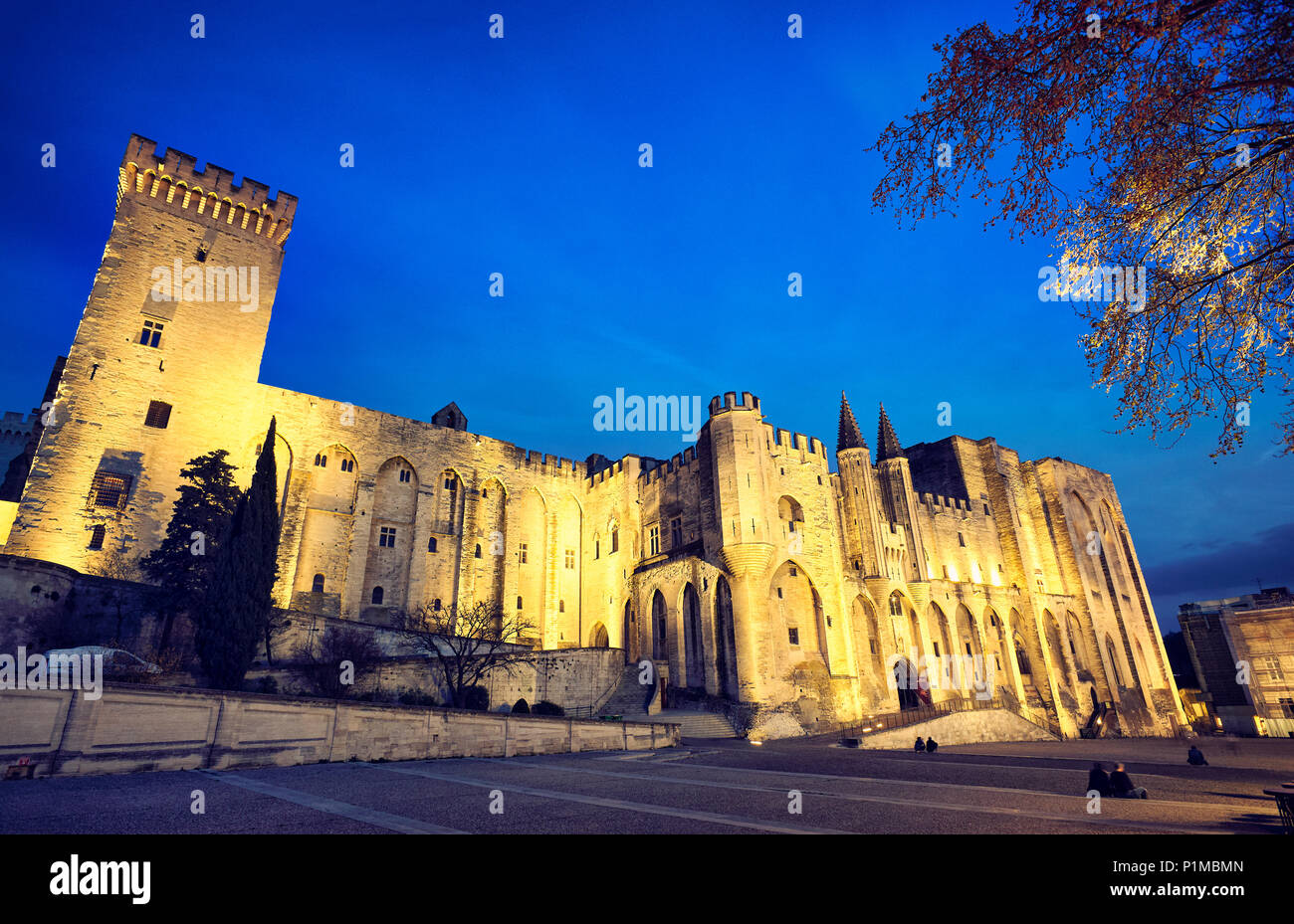 The Papal palace. UNESCO World heritage site. Avignon. Provence-Alpes ...