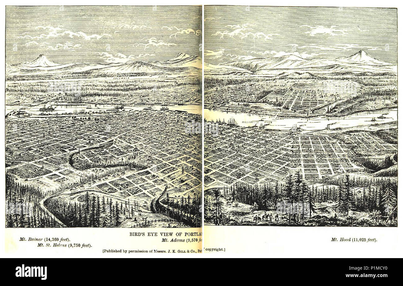 Armed birds hi-res stock photography and images - Alamy