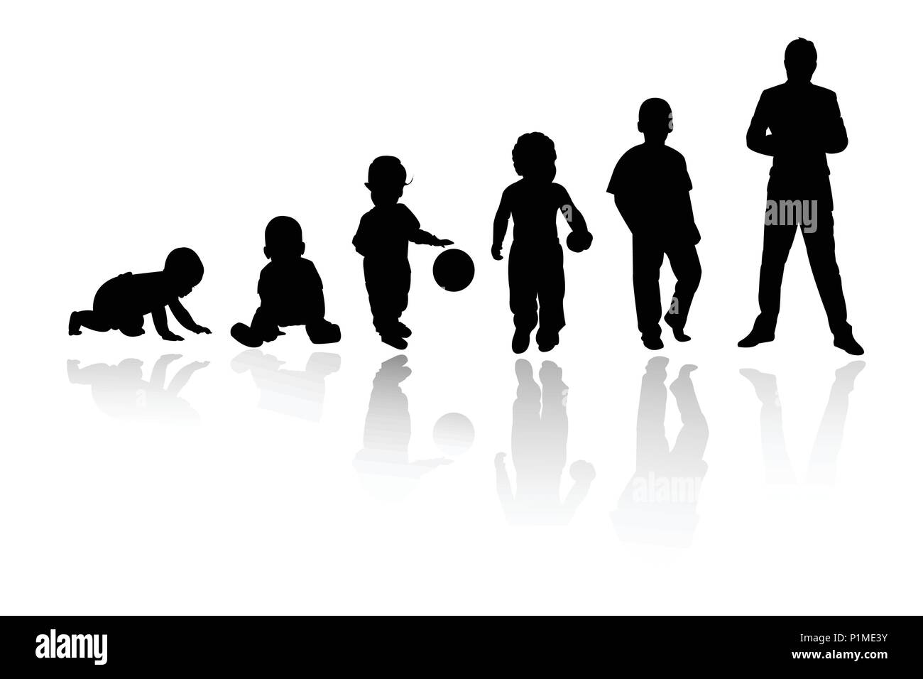 Age Evolution Silhouettes Stock Vector Image And Art Alamy