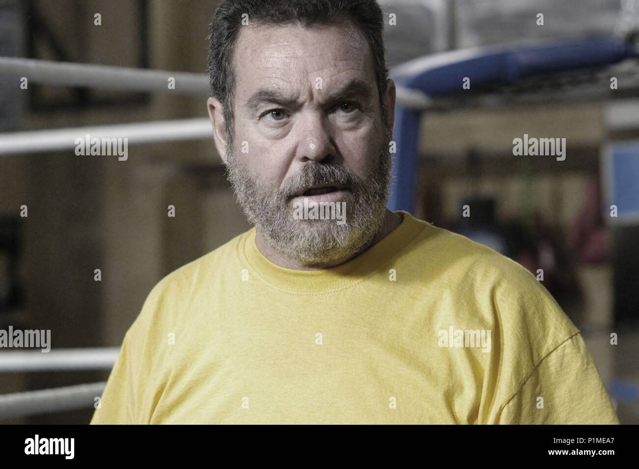 Pepo oliva hi-res stock photography and images - Alamy