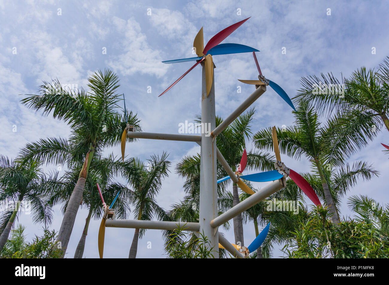 Chinese windmill palm tree hi-res stock photography and images - Alamy