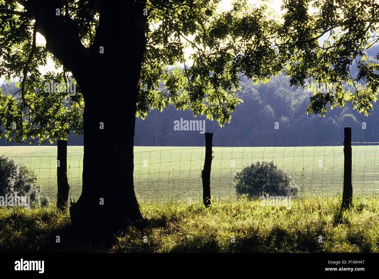 Roncesvalles monastery hi-res stock photography and images - Alamy