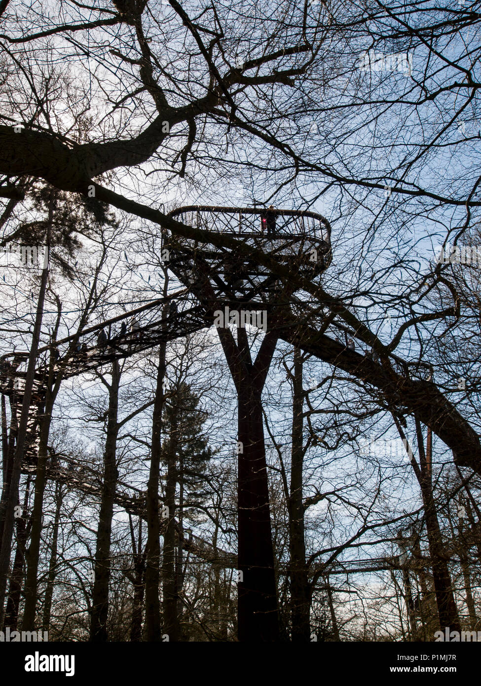 Treetop walkway at kew gardens, Richmond Stock Photo - Alamy
