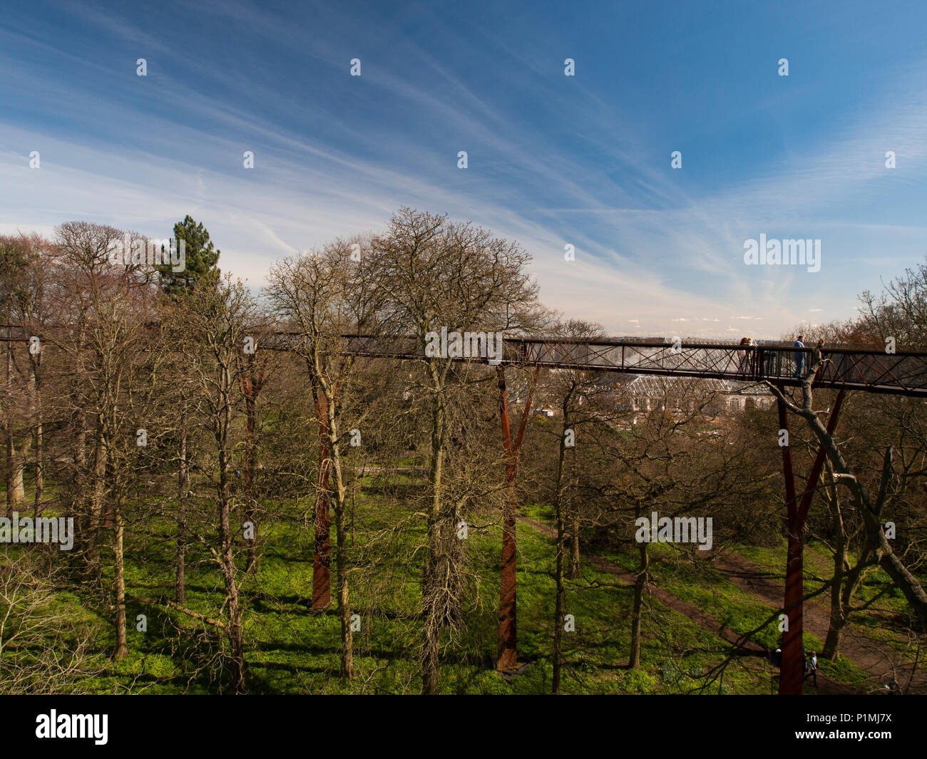 Treetop walkway at kew gardens, Richmond Stock Photo - Alamy