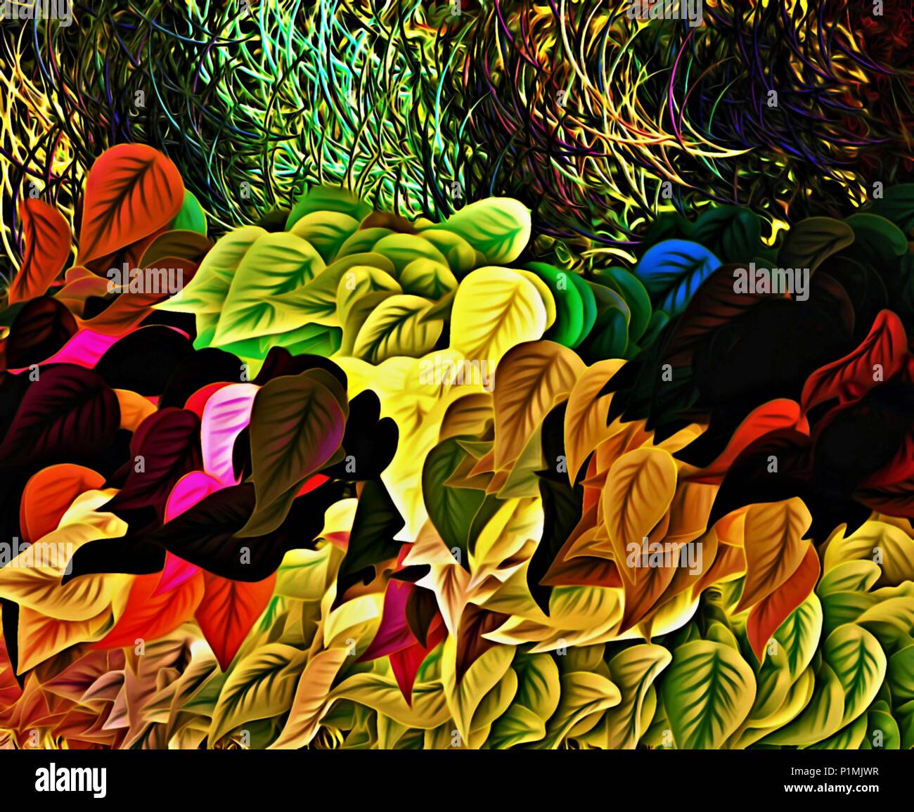 Computer graphics of abstract floral psychedelic background stylization ...