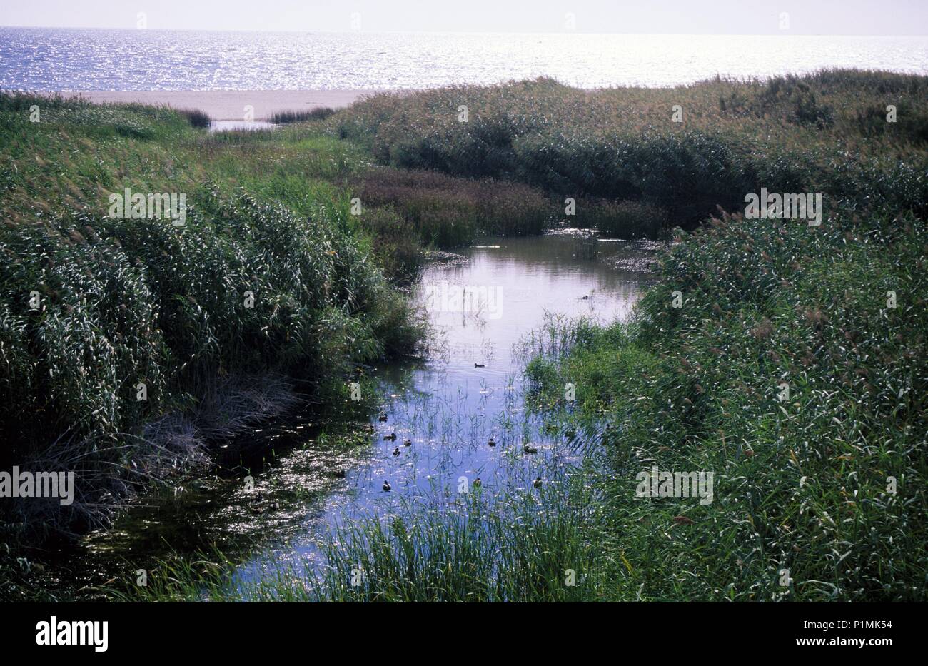 Mojácar, Aguas river arriving the Mediterraneo coast Stock Photo - Alamy