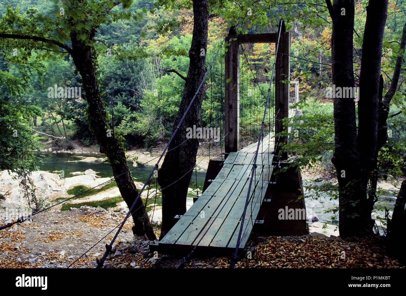 Orbaiceta; hanging bridge over the Irati river; Irati valley (Pyrenees ...