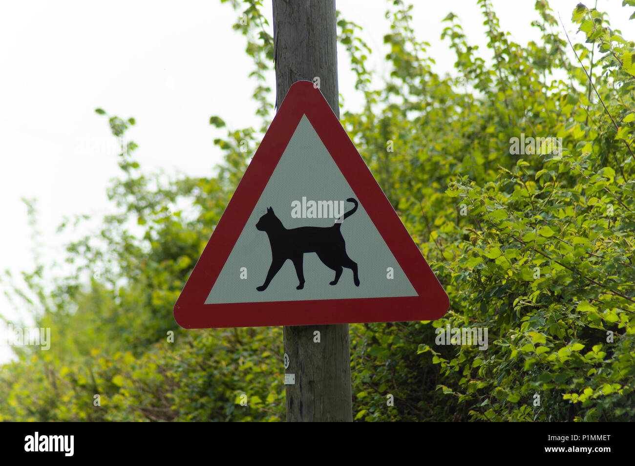 Amberley road hi-res stock photography and images - Alamy