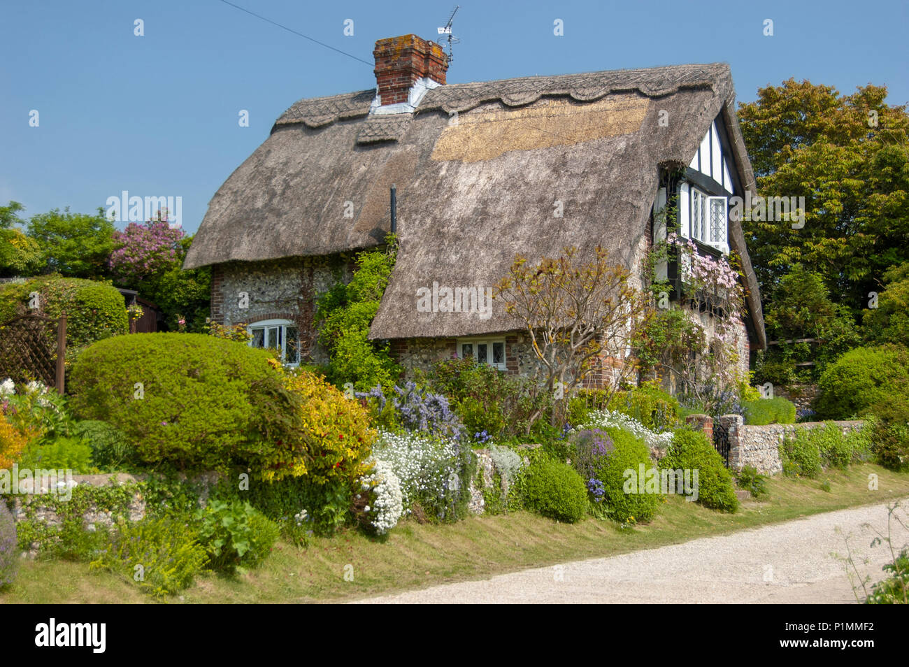 Country cottage half timbered and thatched with beautiful gardens of ...