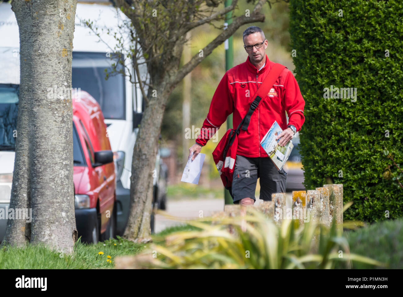 Royal Mail Postman walking carrying letters for delivery in England, UK ...