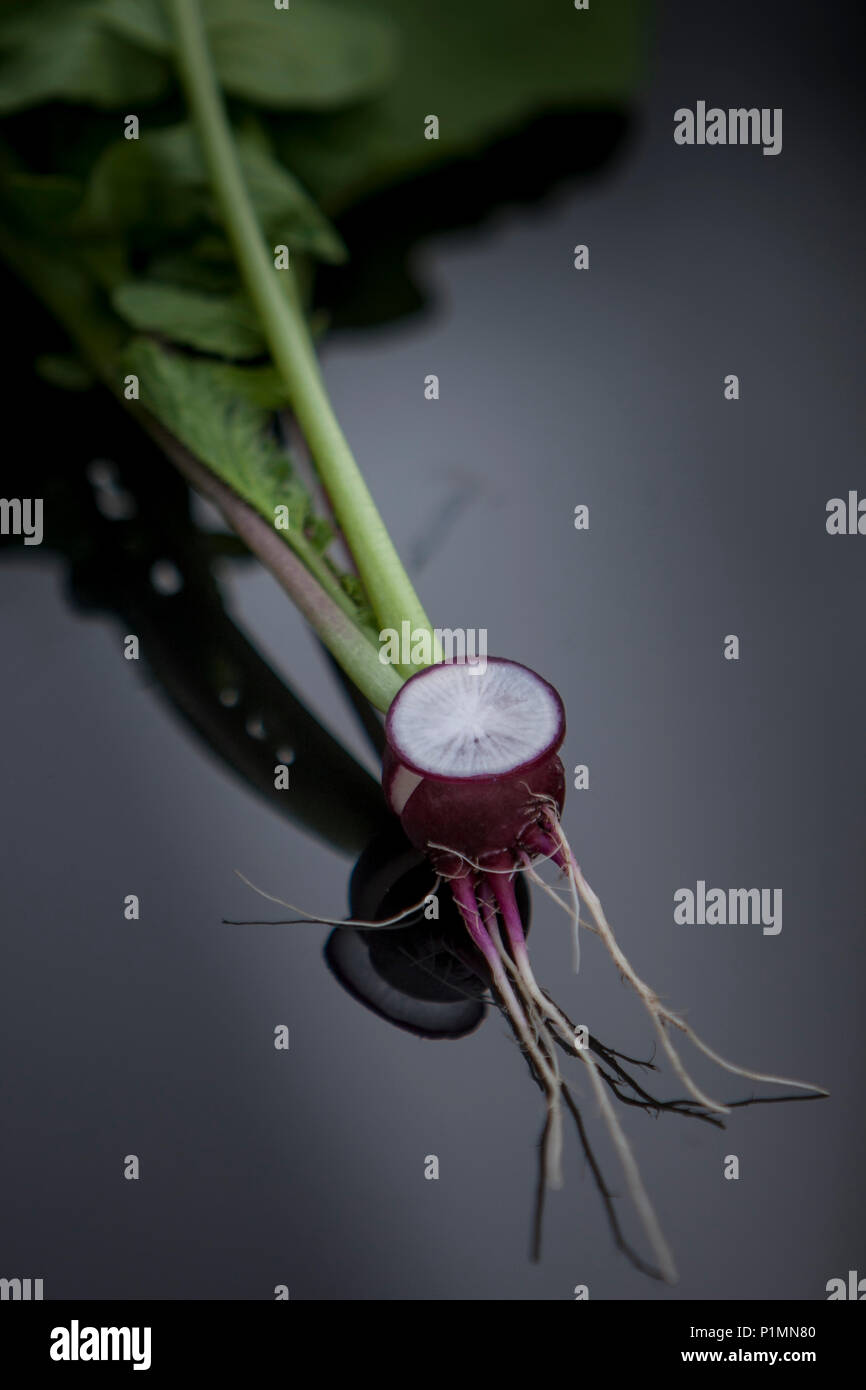 fresh radish mix with leaf in the garden, different taste Stock Photo ...