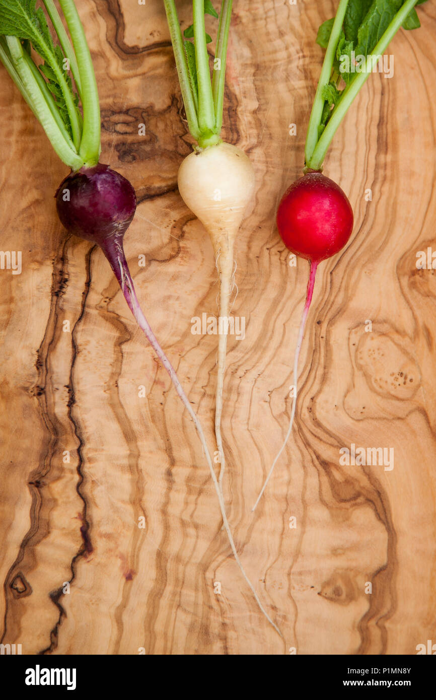 fresh radish mix with leaf in the garden, different taste Stock Photo ...
