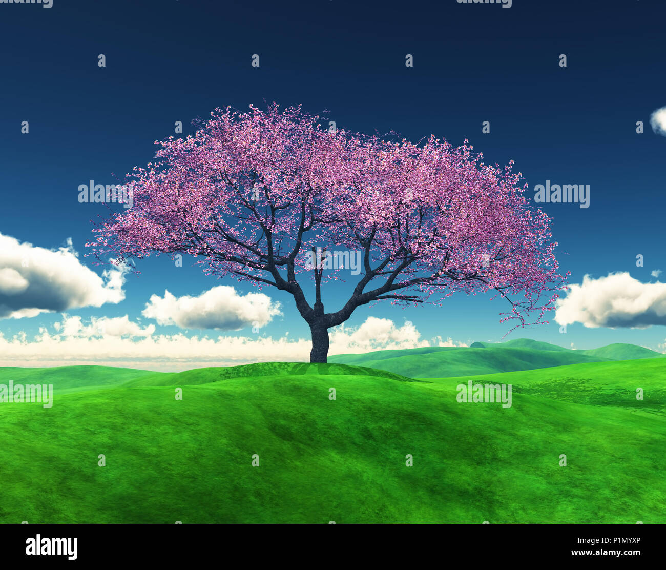 3D render of a Cherry tree in a grassy landscape Stock Photo - Alamy