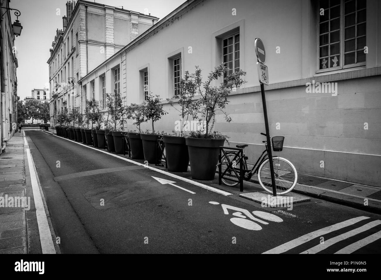 Bike Lanes on Île Saint-Louis in Paris, France Stock Photo - Alamy